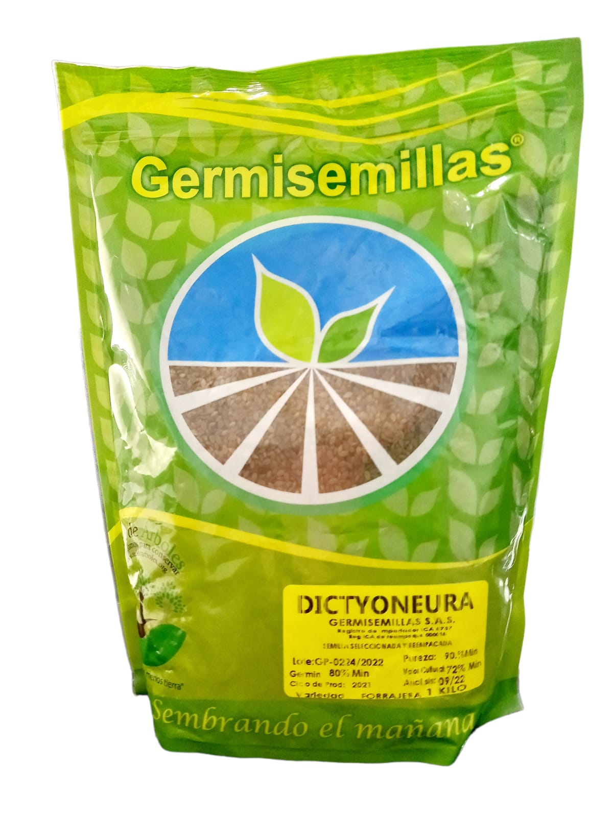 DYCTYNEURA X KG GERMISEMILLAS – Almacen Tierras y Ganado