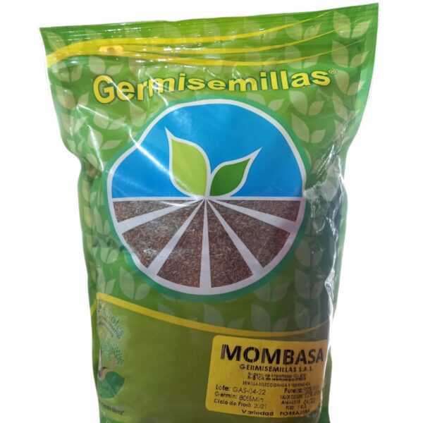 DYCTYNEURA X KG GERMISEMILLAS – Almacen Tierras y Ganado